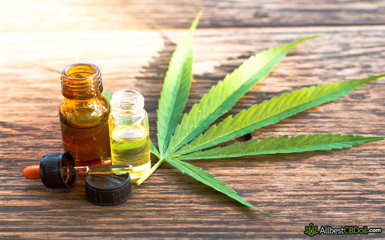 CBDA vs CBD - Main Differences & Similarities (Explained) CBDA vs CBD - Main Differences & Similarities (Explained)